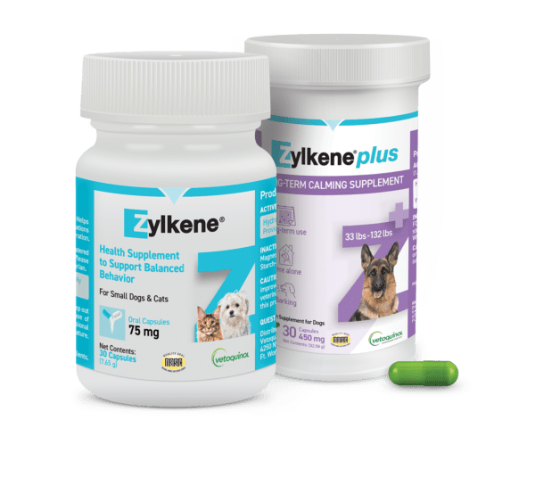 Product Info - Zylkene